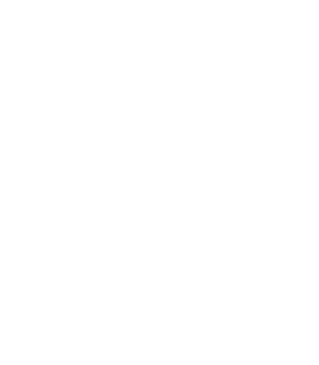 Power Reach Stackers